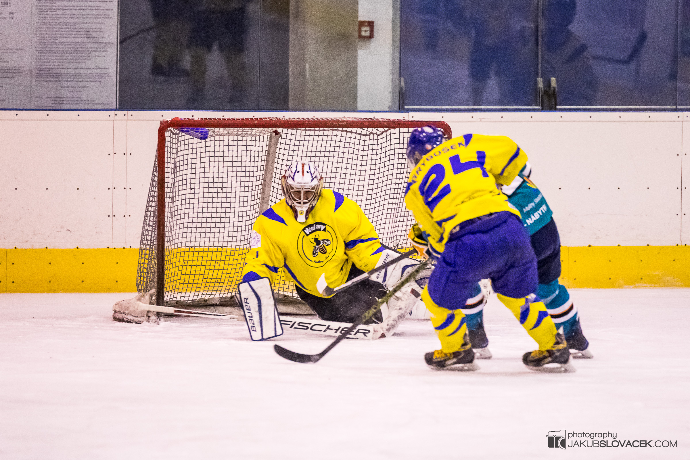 AHL 18-19: HC Včelary - HC Sharks Mistřice | Jakub Slováček Photography